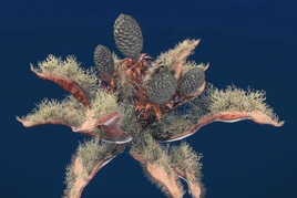 Heartlands Fire Seed | Avatar Wiki | Fandom