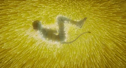 Neteyam | Avatar Wiki | Fandom