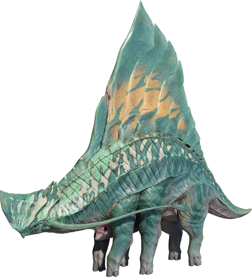 Category:Bone | Avatar Wiki | Fandom