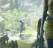 Canoe | Avatar Wiki | Fandom