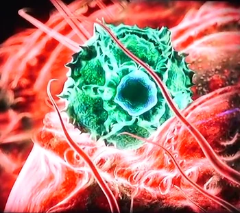 Pandorica Simbiotii | Avatar Wiki | Fandom