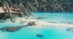 Awa'atlu | Avatar Wiki | Fandom