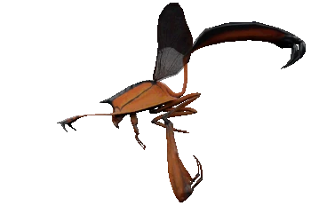 Hellfire Wasp | Avatar Wiki | Fandom