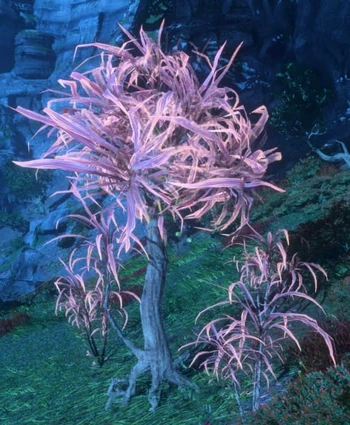 Dusk Leaf Tree | Avatar Wiki | Fandom