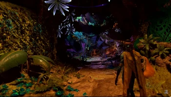 Aranahe Clan | Avatar Wiki | Fandom