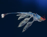 Buoyfish | Avatar Wiki | Fandom