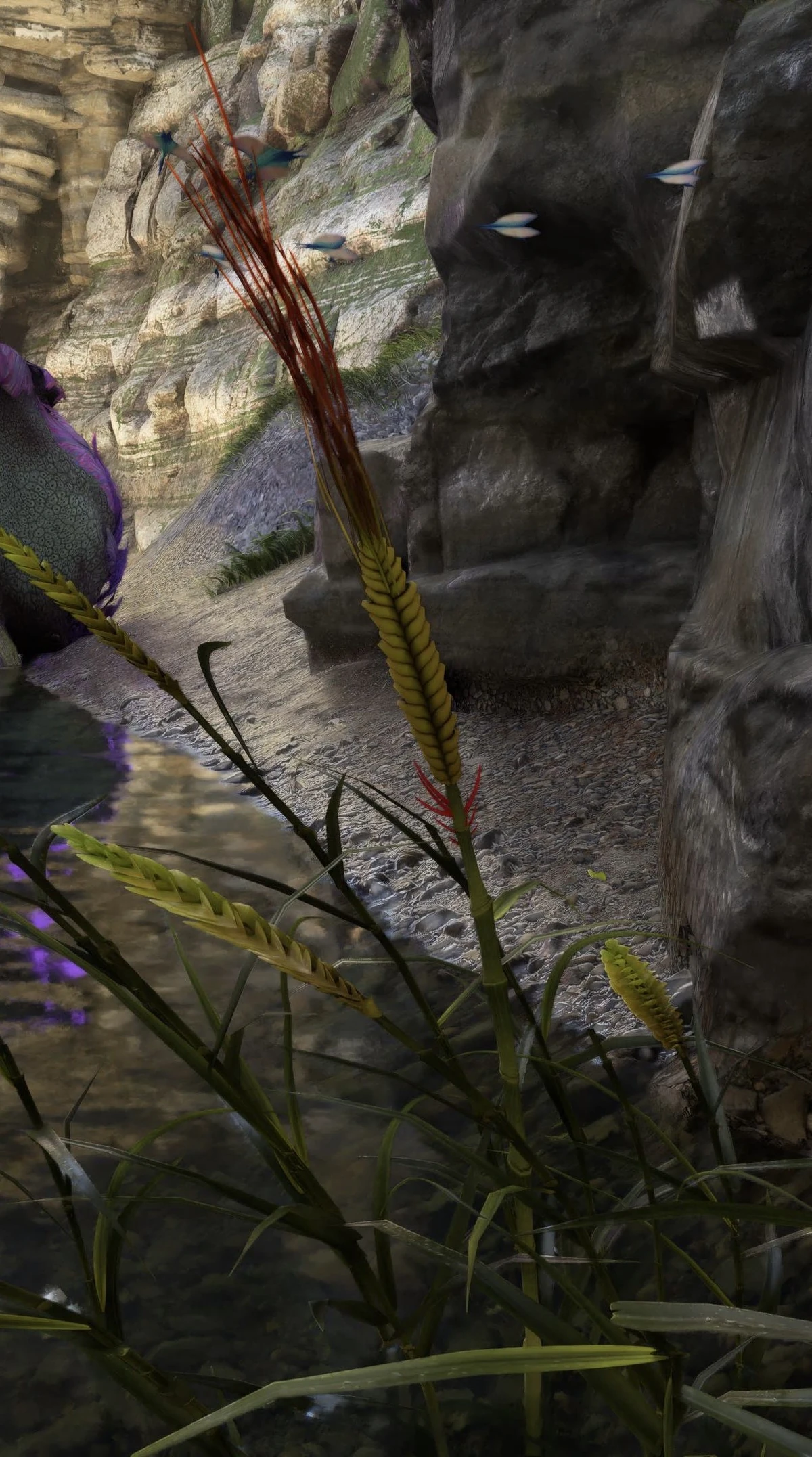 Canyon Reed | Avatar Wiki | Fandom