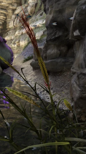 Canyon Reed | Avatar Wiki | Fandom