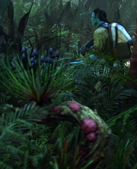 Goblin Thistle | Avatar Wiki | Fandom