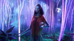 Mo'at | Avatar Wiki | Fandom