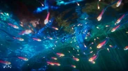 Bioluminescence | Avatar Wiki | Fandom
