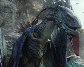 Bob | Avatar Wiki | Fandom