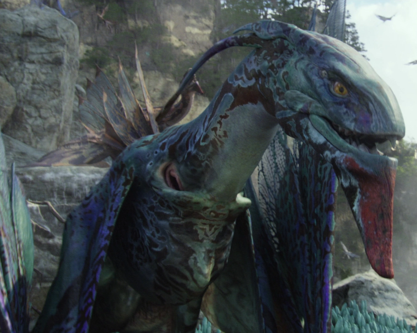 What Is A Banshee Animal