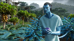 Hell's Gate | Avatar Wiki | Fandom