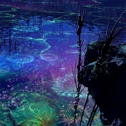 Anemonoid | Avatar Wiki | Fandom