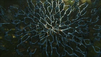 Ritual zur Initiation der Heranwachsenden | Avatar Wiki | Fandom