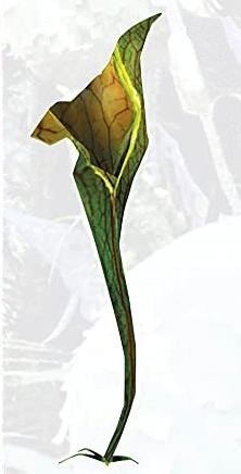 Leaf Pitcher | Avatar Wiki | Fandom