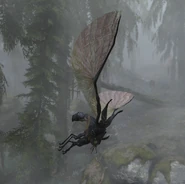 Moonscarab | Avatar Wiki | Fandom