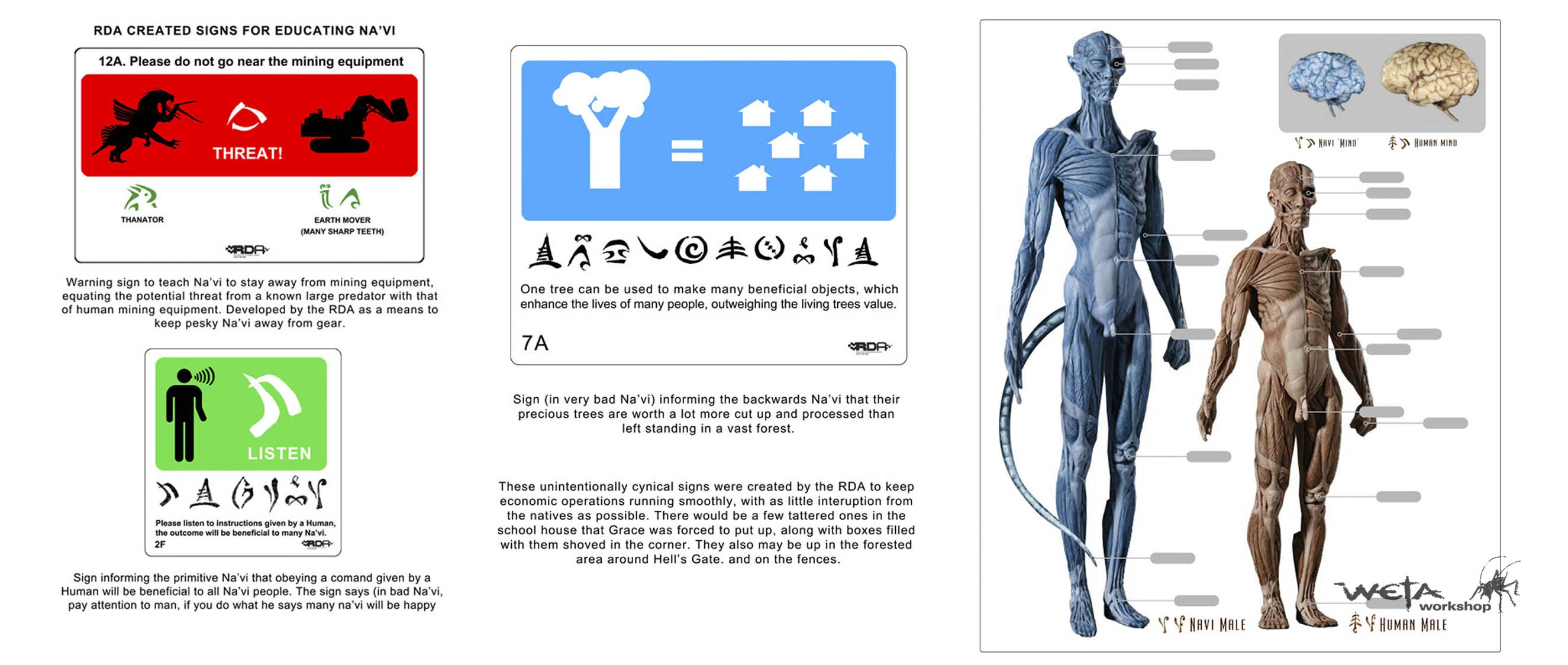 Are there symbols for numbers in Na'vi script? : r/Avatar