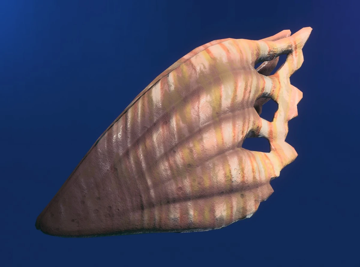 River Rock Shell | Avatar Wiki | Fandom