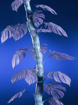 Fortune Leaf Cane | Avatar Wiki | Fandom