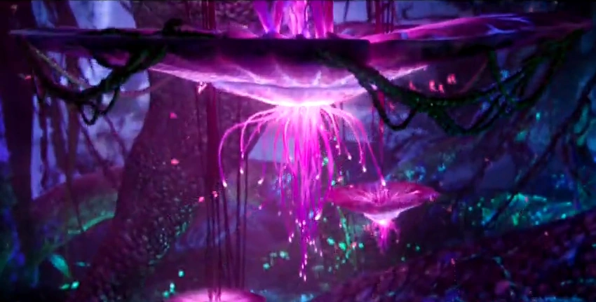 Panopyra | Avatar Wiki | Fandom