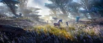 Heart of the Plains | Avatar Wiki | Fandom