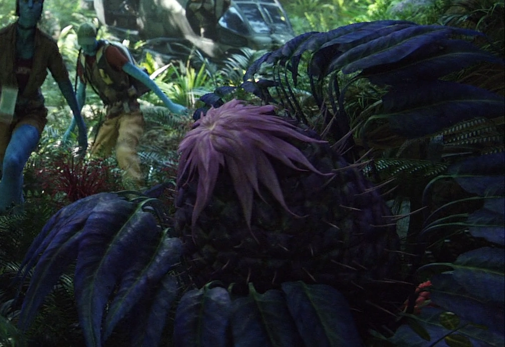 Hermit Bud | Avatar Wiki | Fandom