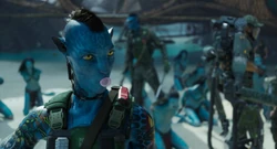 Zdinarsik | Avatar Wiki | Fandom