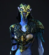 Clan Leader | Avatar Wiki | Fandom