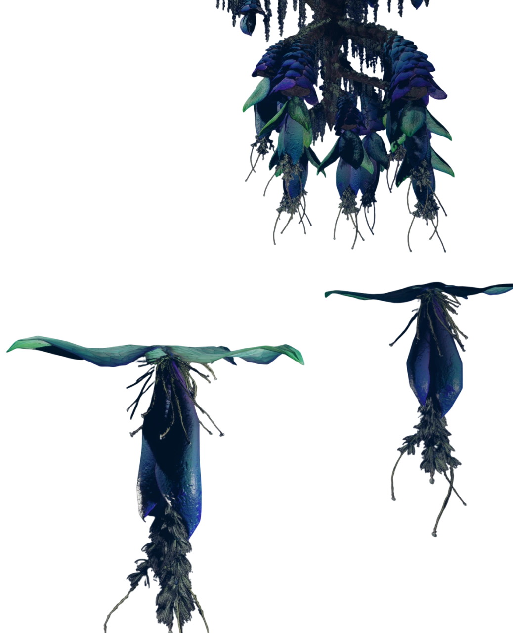 Sunrise Lantern | Avatar Wiki | Fandom