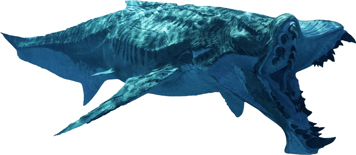 Akula | Avatar Wiki | Fandom