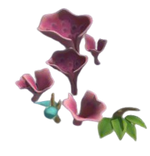Healing Rose | Avatar Wiki | Fandom