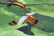 Hellfire Wasp | Avatar Wiki | Fandom