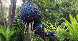 Puffball Tree | Avatar Wiki | Fandom