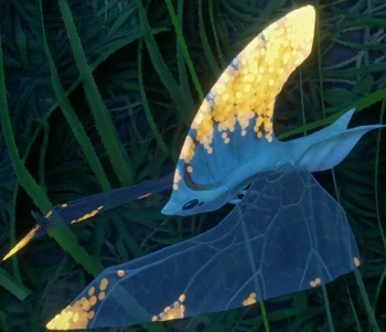 Crescent Wing | Avatar Wiki | Fandom