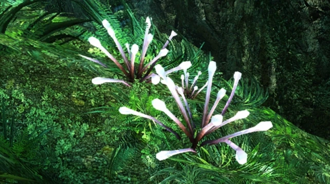 Anemonide | Avatar Wiki | Fandom