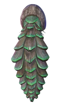 Canyon Pinecone | Avatar Wiki | Fandom