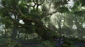 Kinglor Nesting Tree | Avatar Wiki | Fandom