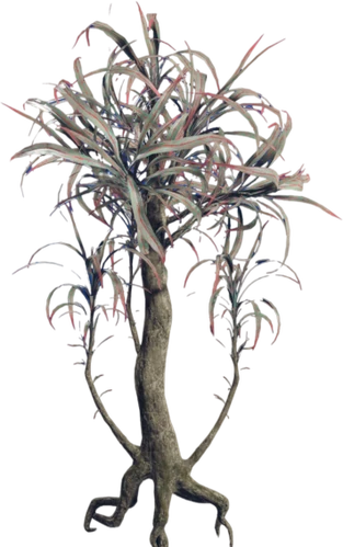 Moonwood Tree | Avatar Wiki | Fandom
