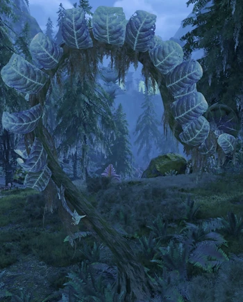 Bow Fern | Avatar Wiki | Fandom