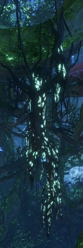 Canopy Root | Avatar Wiki | Fandom