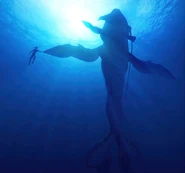 Payakan/Gallery | Avatar Wiki | Fandom