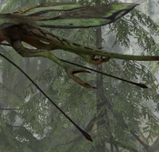 Tetrapteron | Avatar Wiki | Fandom