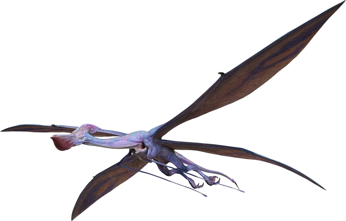Great Western Tetrapteron | Avatar Wiki | Fandom