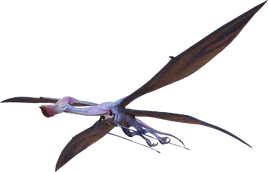 Great Western Tetrapteron | Avatar Wiki | Fandom