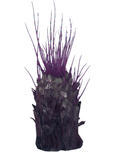 Lightning Grass | Avatar Wiki | Fandom