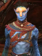 Zeswa Clan | Avatar Wiki | Fandom