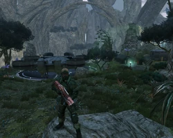 Nesting Grounds | Avatar Wiki | Fandom