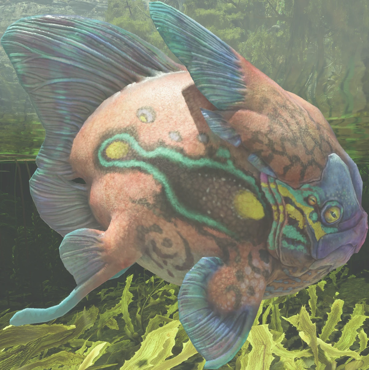 Rockbeak Fish | Avatar Wiki | Fandom